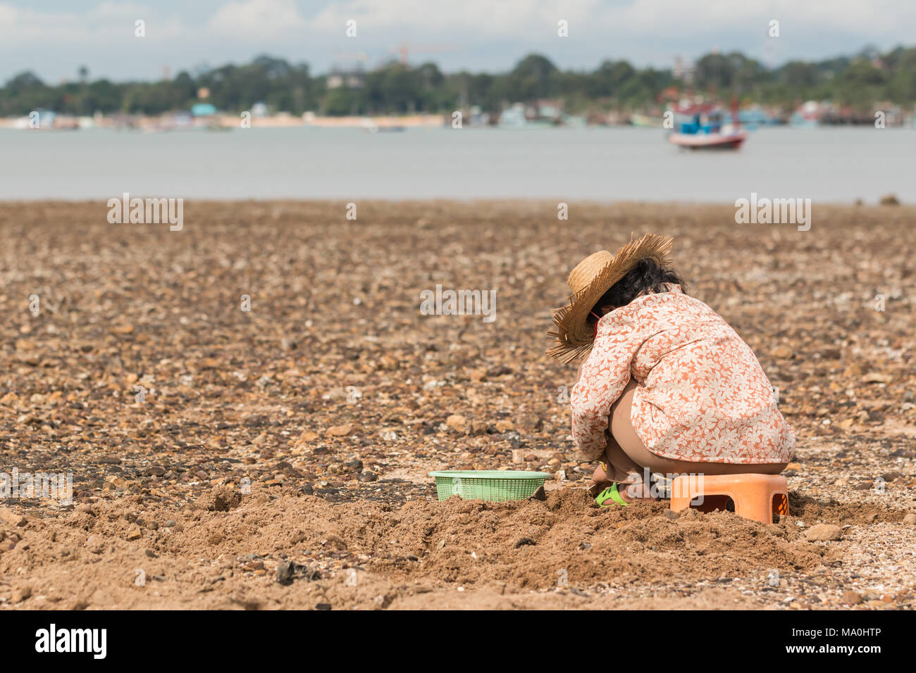 Women looking for sea shells Stock Photo - Alamy