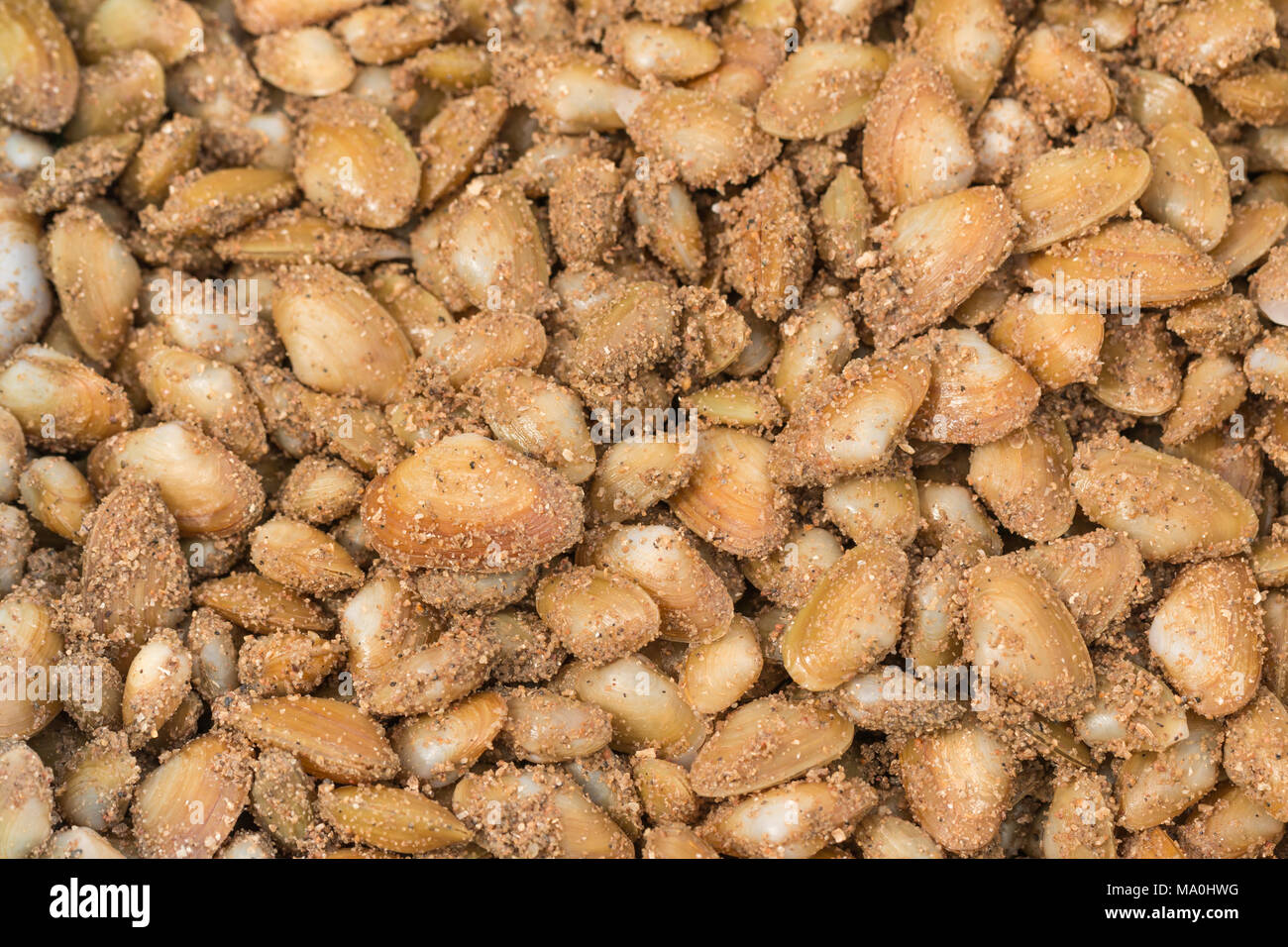 Wedge shell hi-res stock photography and images - Alamy