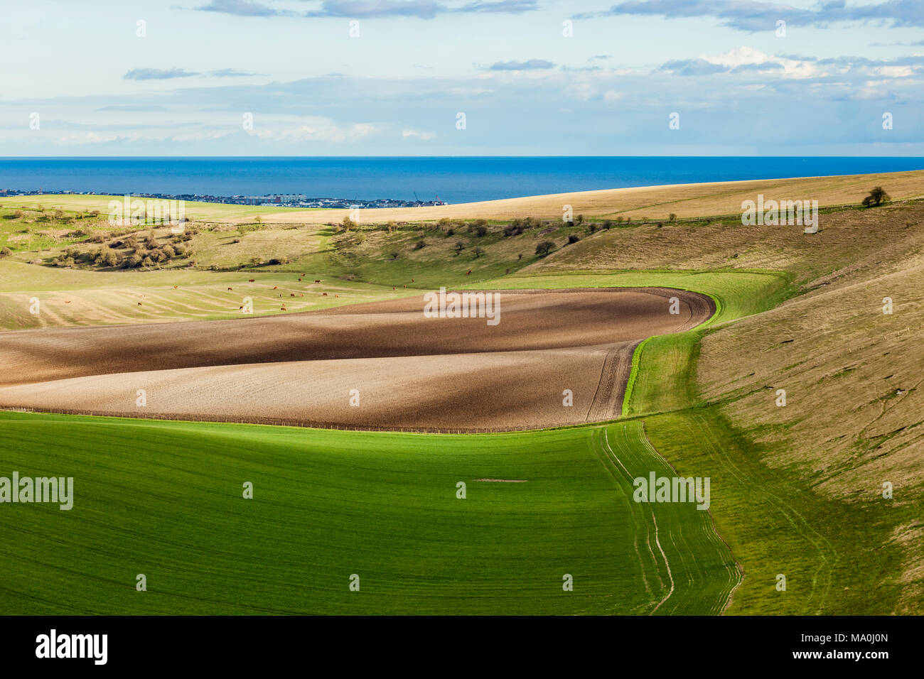 Early spring in South Downs National Park, West Sussex Stock Photo - Alamy