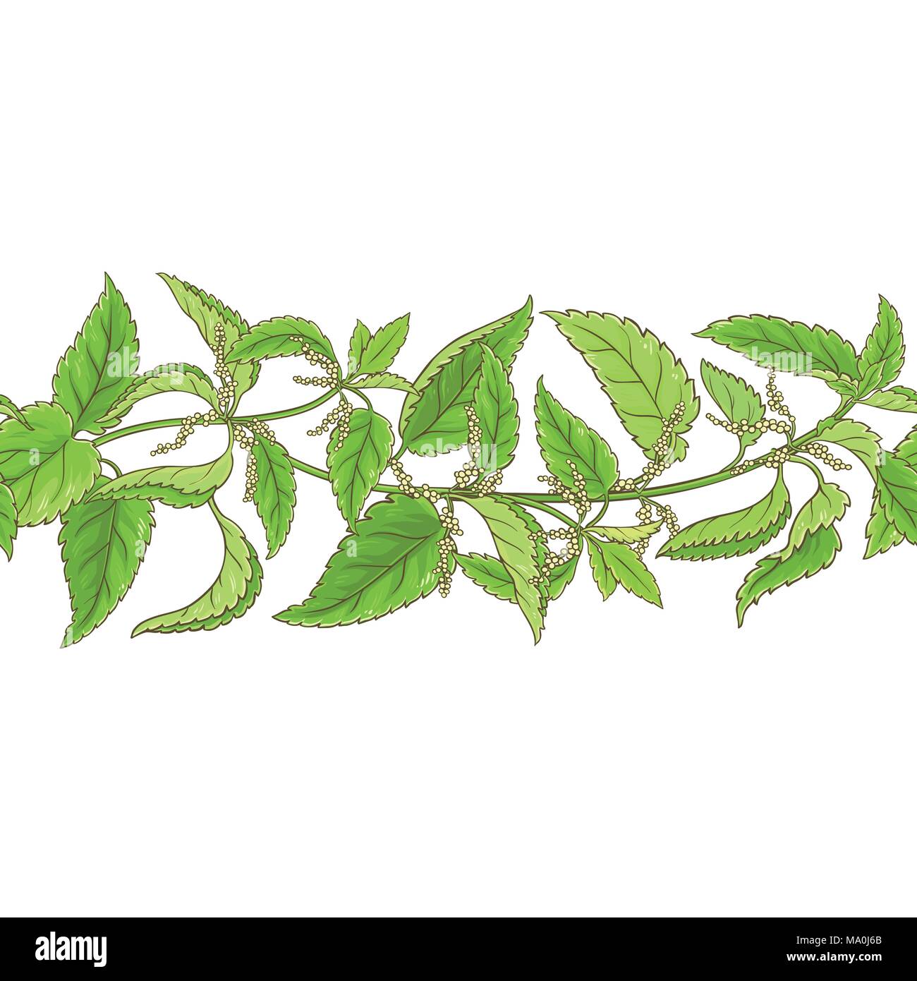 nettle plant vector pattern on white background Stock Vector Image ...