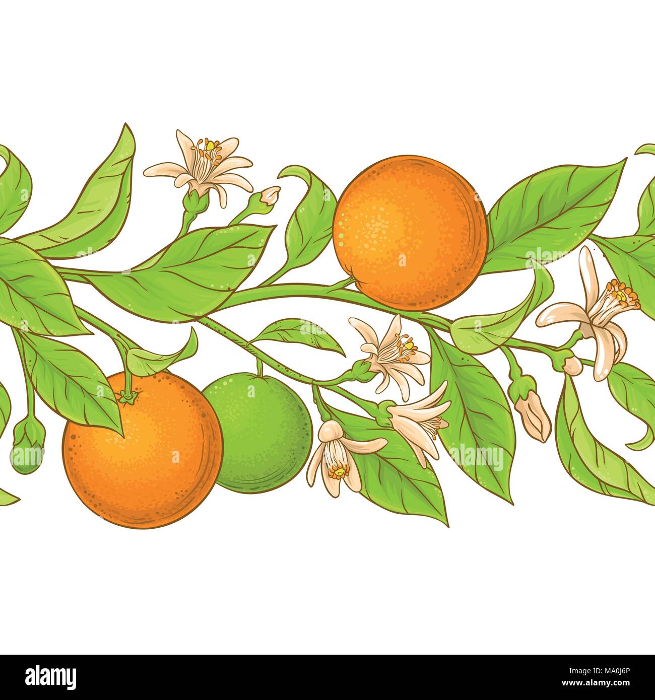 Orange leaf branch line hi-res stock photography and images - Alamy