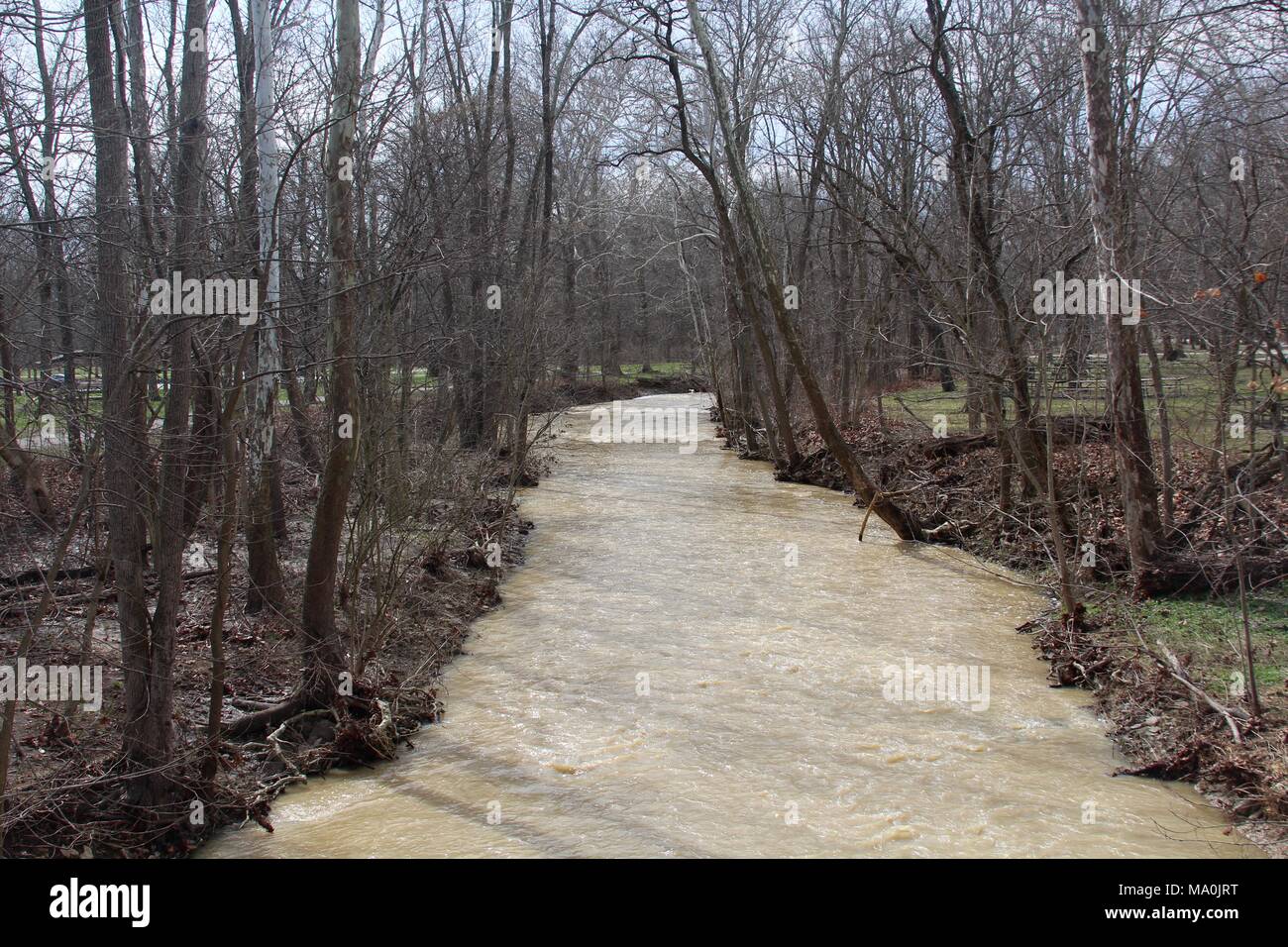 Some of the flooded lakes and ponds in the parks of Hamilton County ...