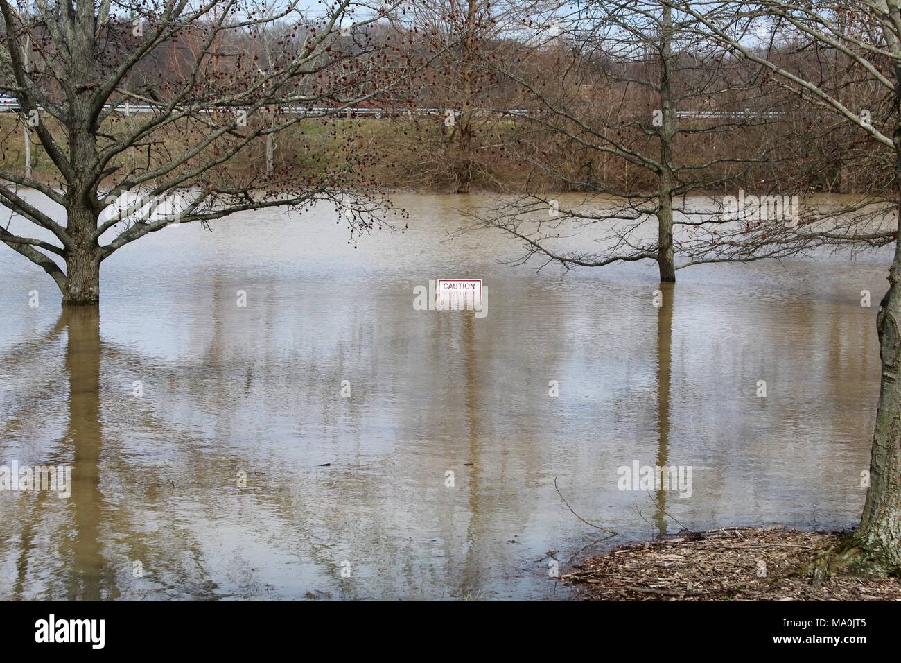 Some of the flooded lakes and ponds in the parks of Hamilton County ...