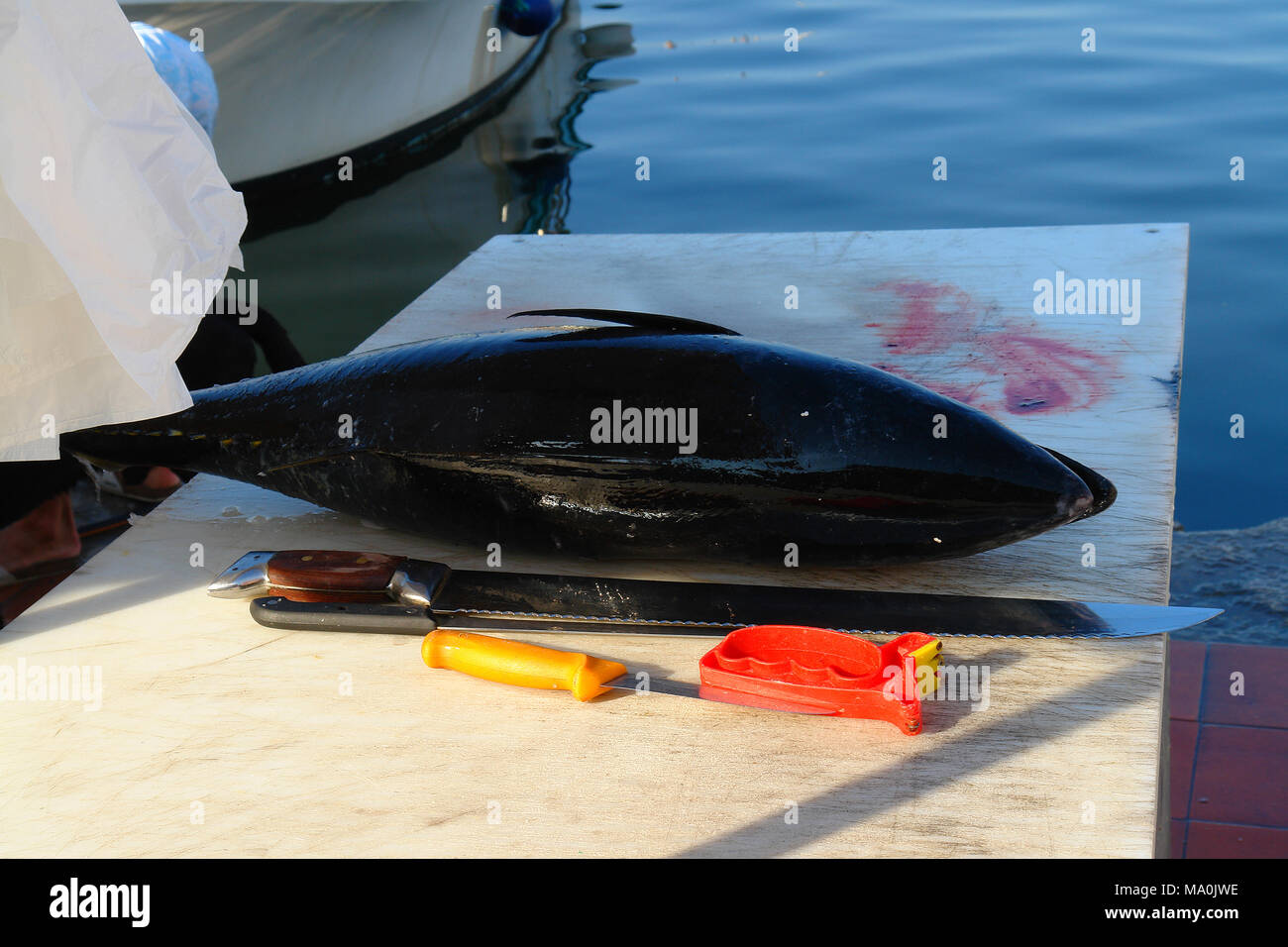 Tunny fish hi-res stock photography and images - Alamy