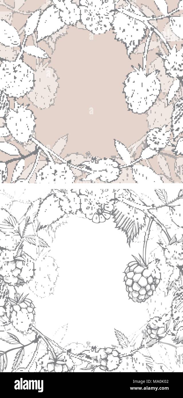 Hand drawn raspberry. Retro sketch style vector illustration. Perfect ...