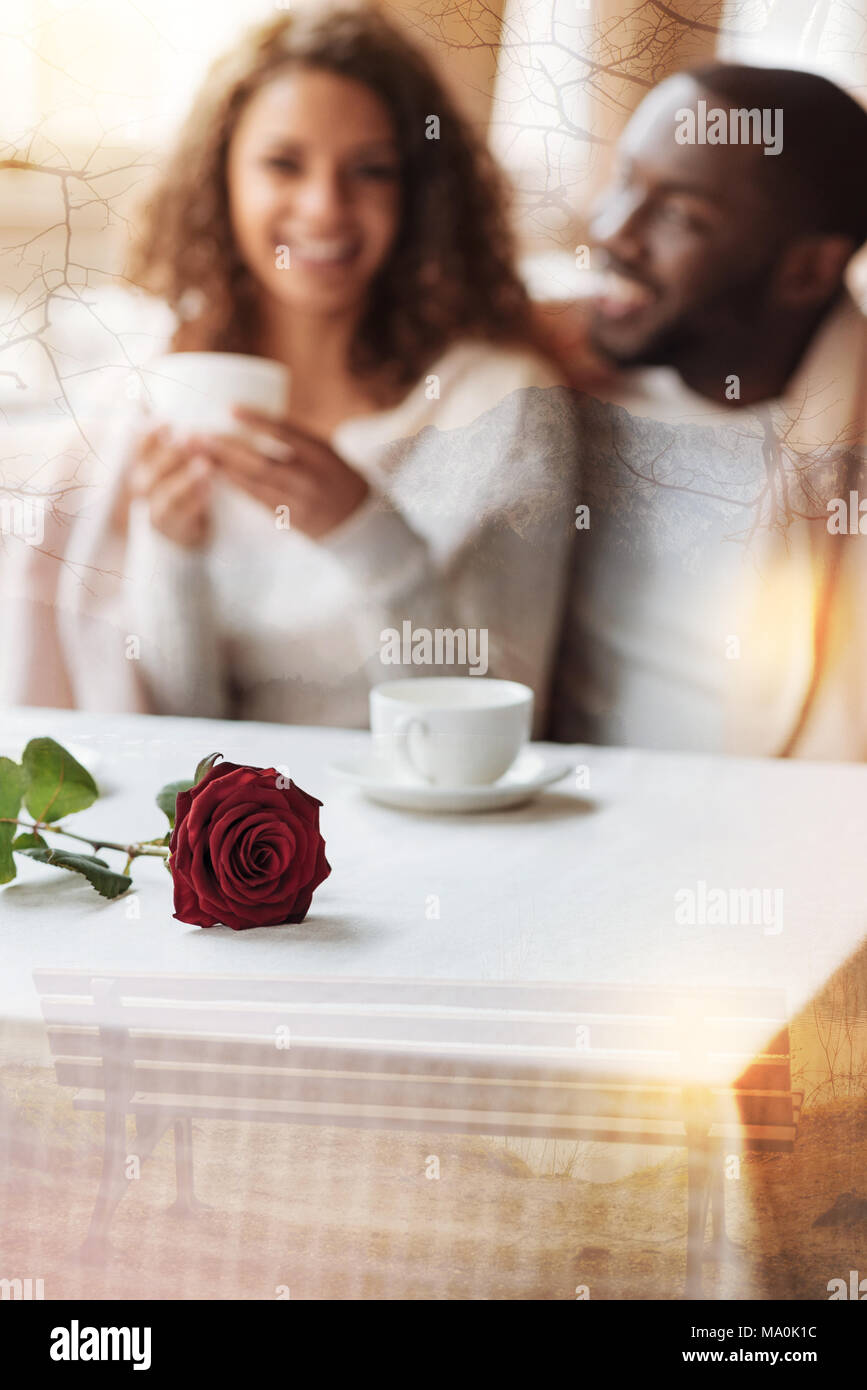 Sweetheart rose hi-res stock photography and images - Alamy