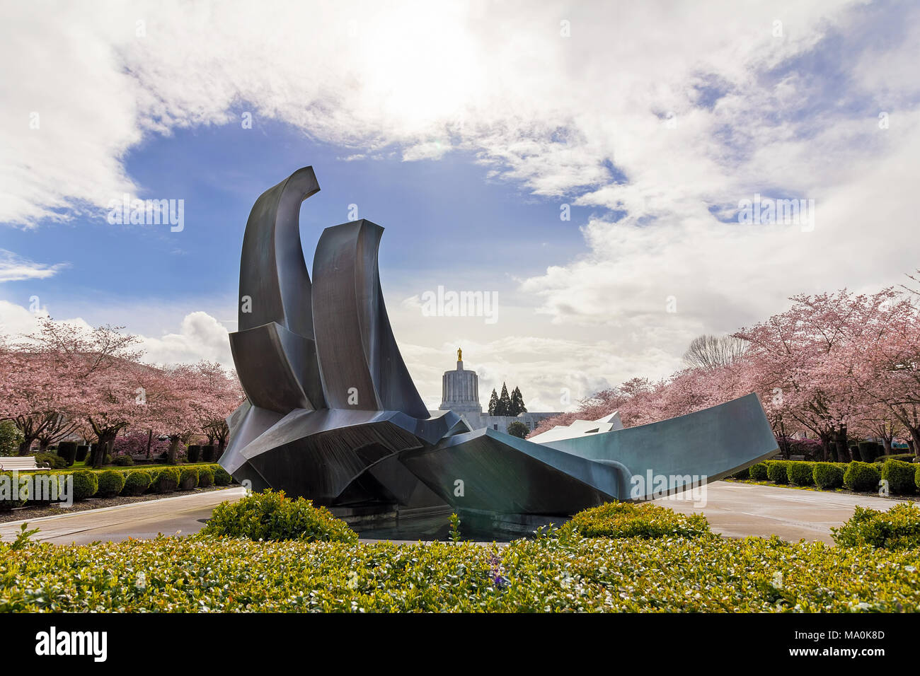 Oregon State Capitol Park in Salem Oregon with Cherry Blossom Trees ...