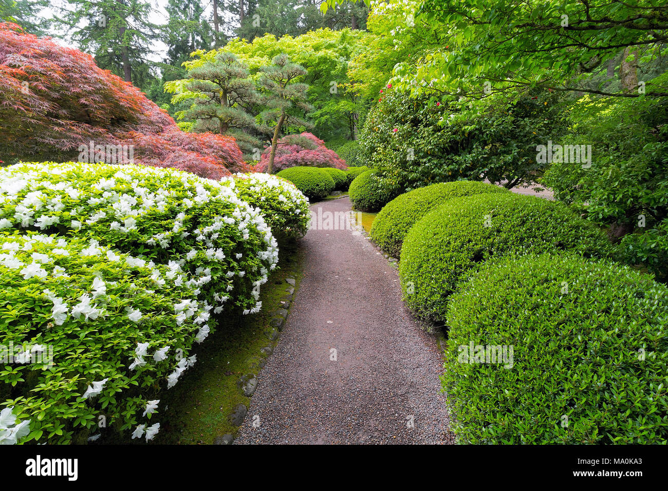 Strolling garden path with trees and shrubs in Japanese Garden suring ...
