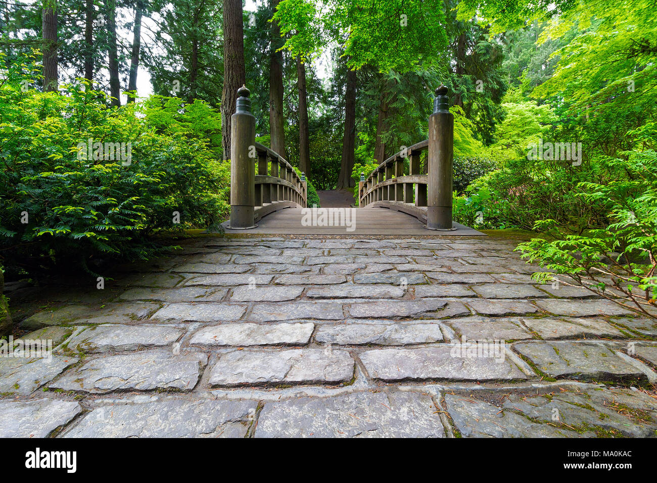 Cobblestone walking path to wooden Bridge at Japanese Garden in Spring ...