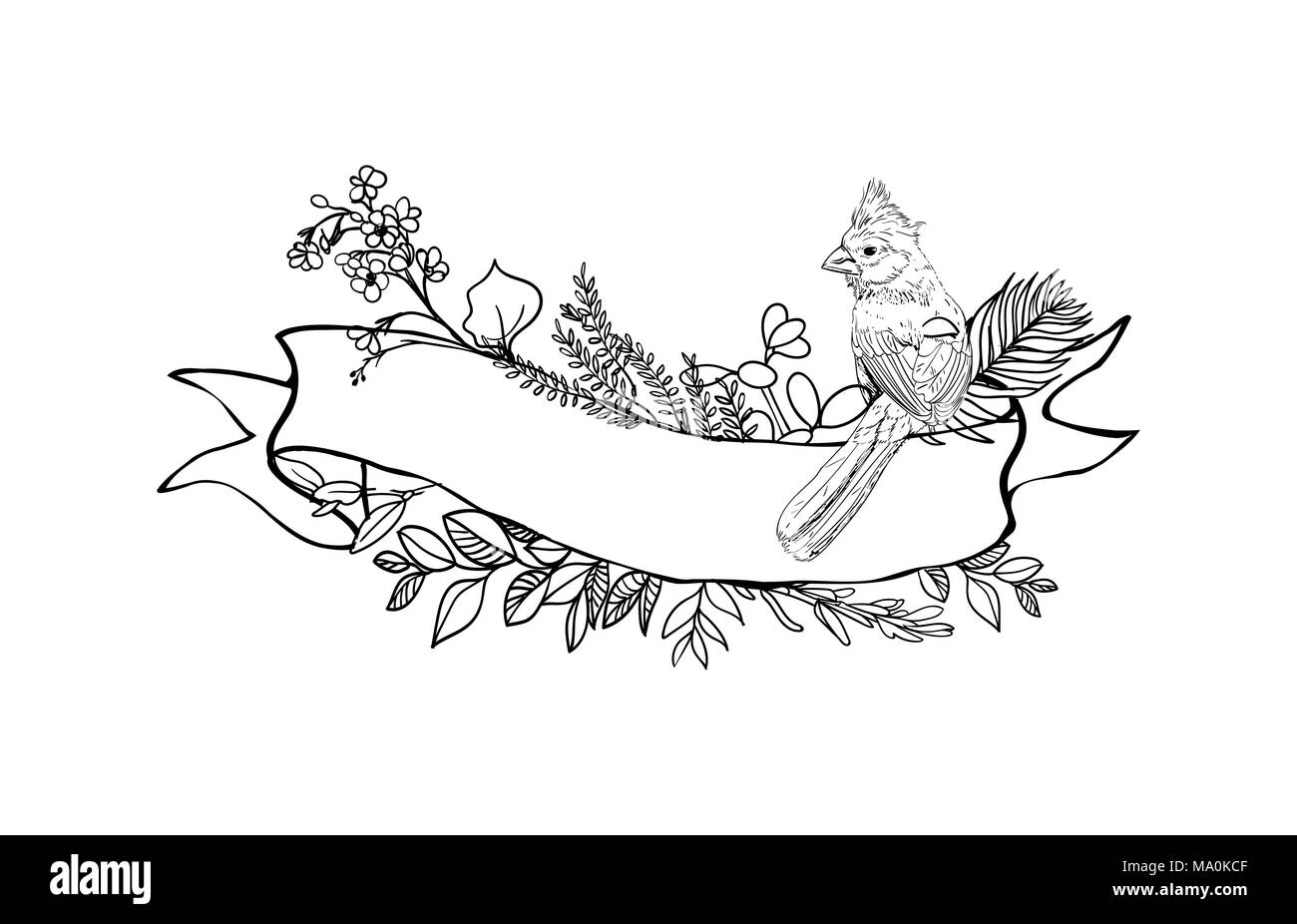 Hand drawn vector Vintage floral banners. Sketch ink illustration ...