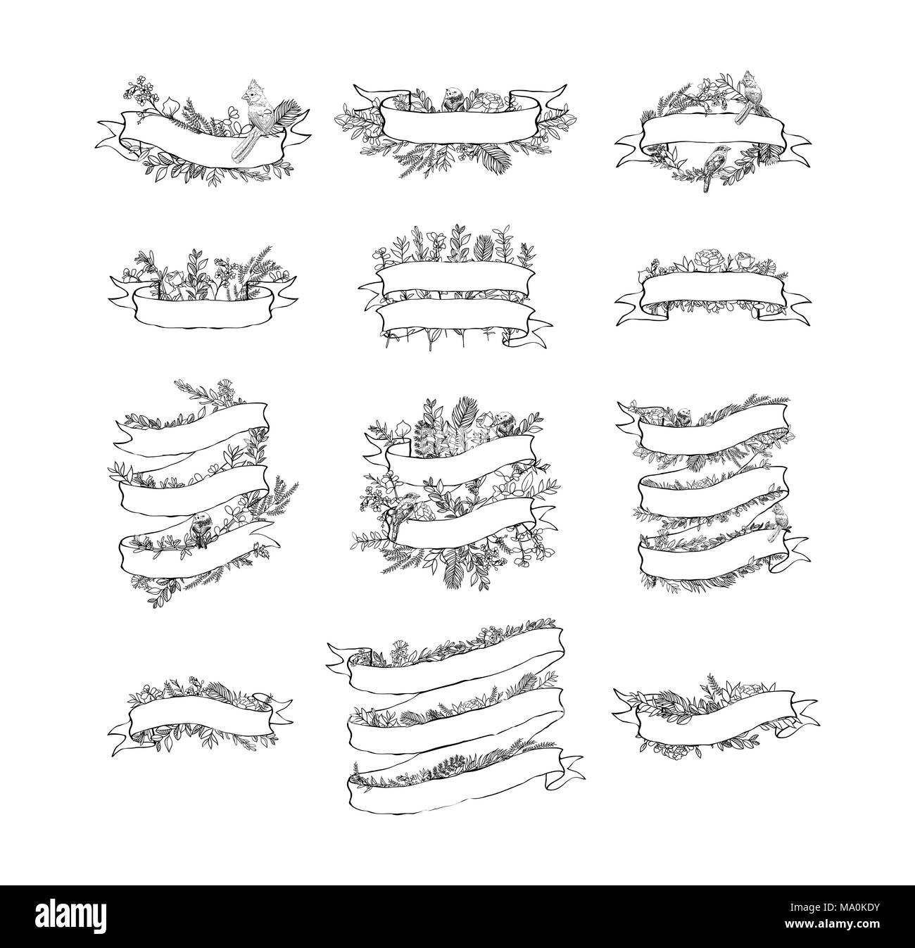 floral ribbon banner. Hand drawn vector Vintage floral banners. Sketch ...