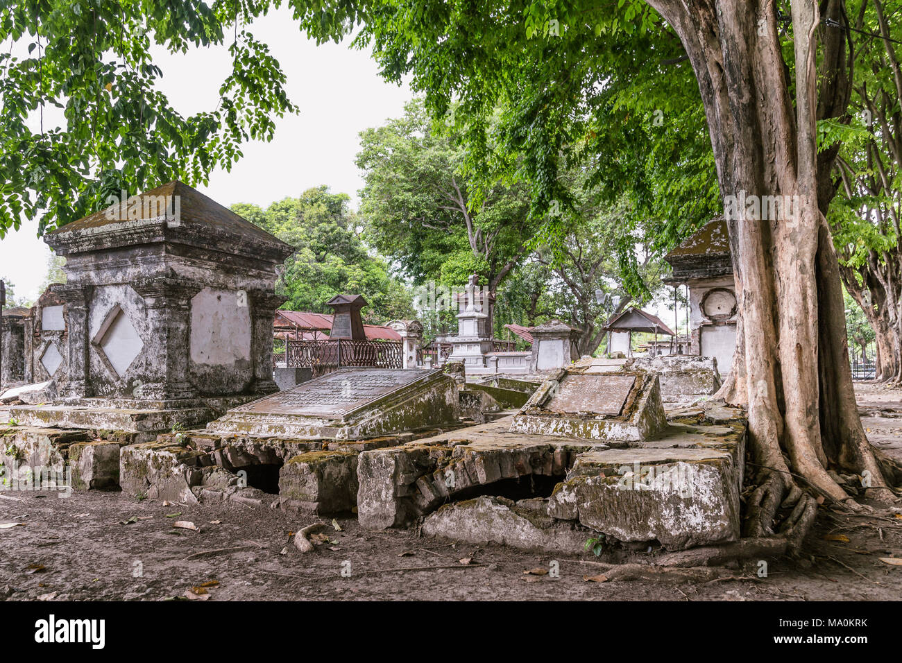 Ancient Dutch cemetery Stock Photo - Alamy