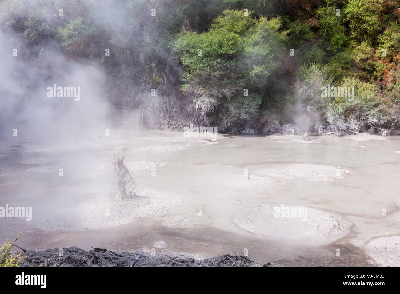 new zealand wai-o-tapu thermal wonderland boiling bubbling mud pools ...