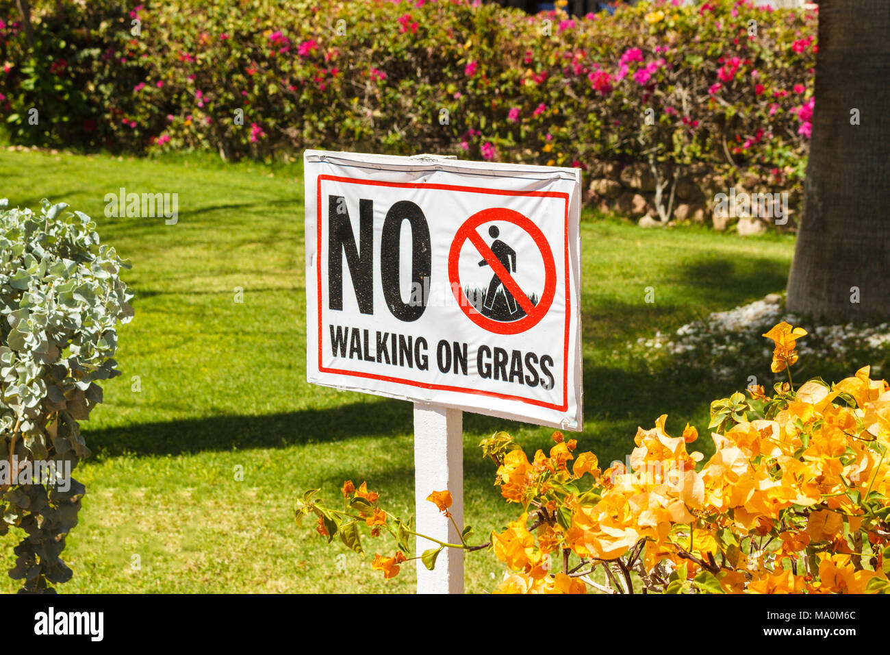 No walking on grass warning sign in the garden Stock Photo - Alamy