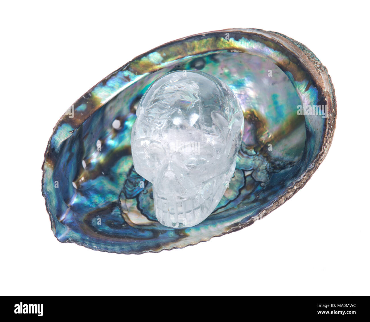 Clear quartz skull in bright polished rainbow abalone shell isolated on white background Stock ...