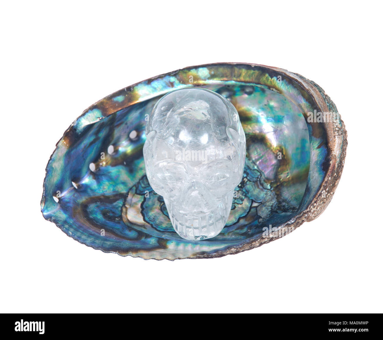 Clear quartz skull in bright polished rainbow abalone shell isolated on ...