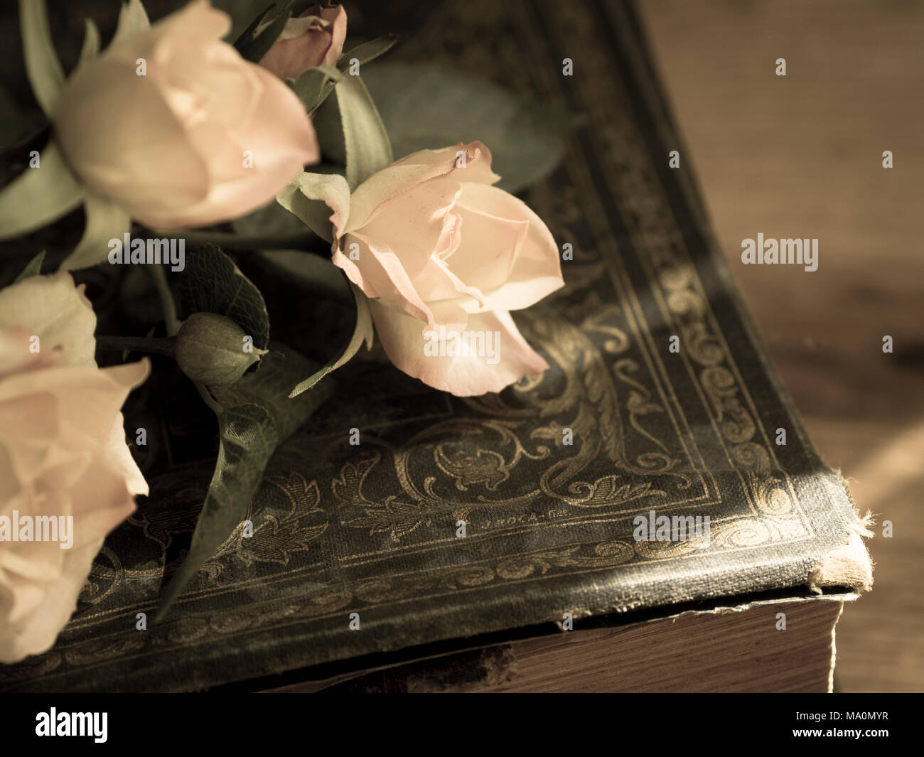 Old book and roses Stock Photo - Alamy