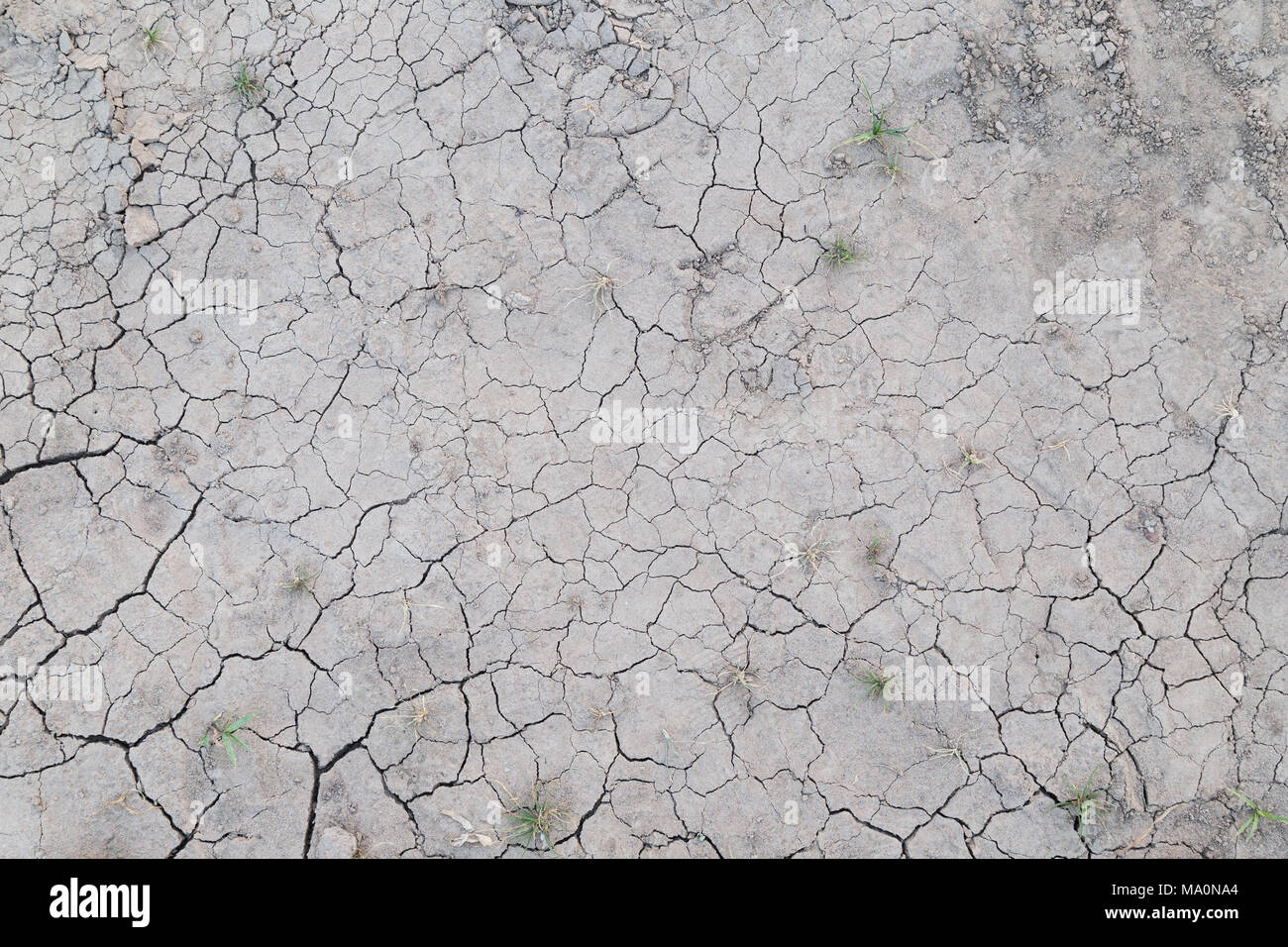 Dry and cracked gray soil ground during drought, viewed from above ...