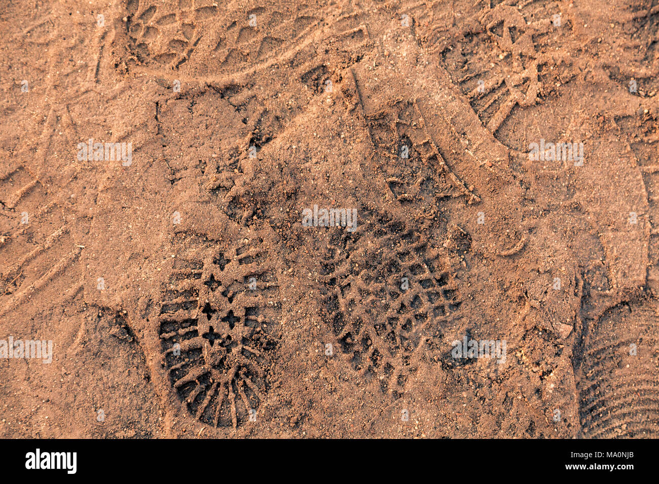 texture of sand. footprints in the sand Stock Photo - Alamy