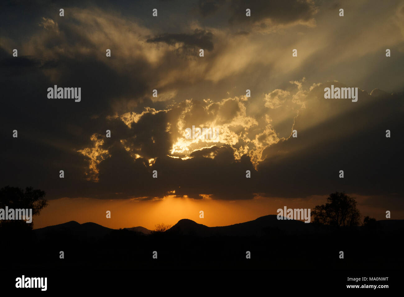 Mexican desert in sunset hi-res stock photography and images - Alamy