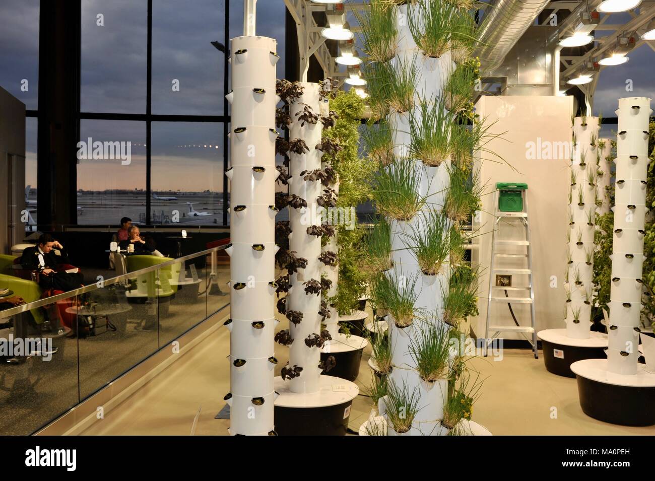 Chicago Vertical Growing Is It Finally Time For Vertical Farming?