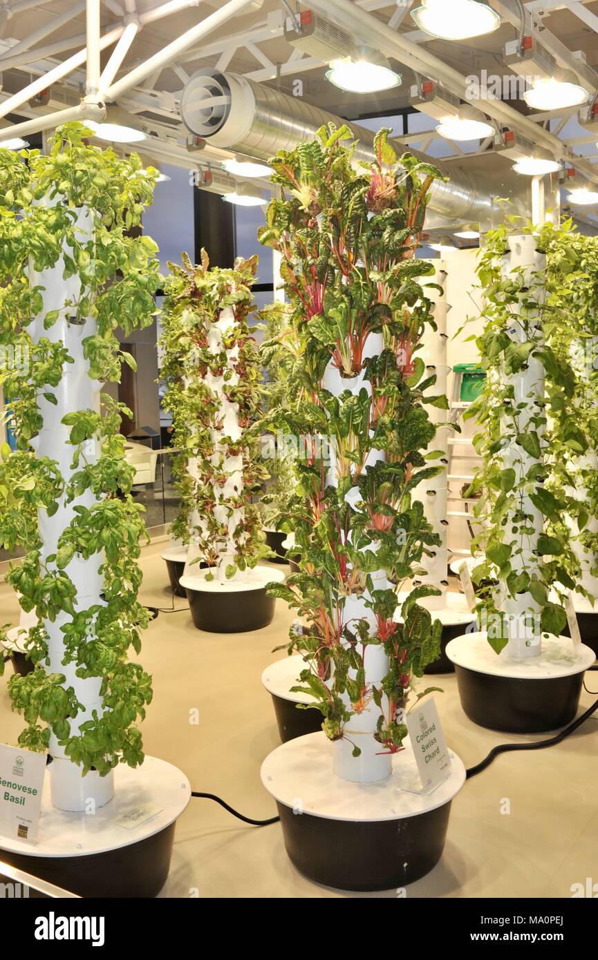 Chicago Vertical Growing Is It Finally Time For Vertical Farming?