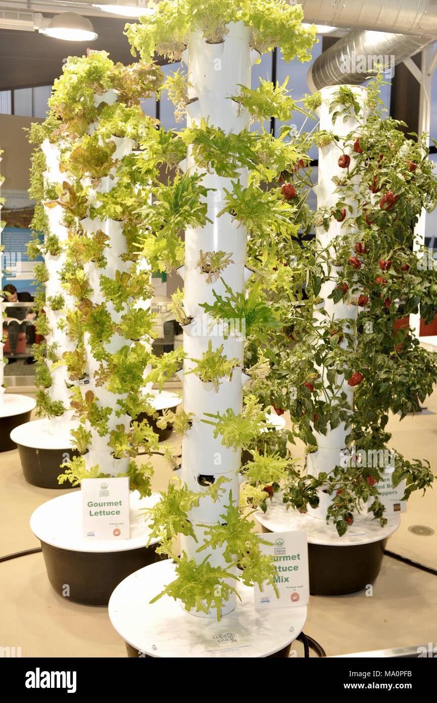 Chicago Vertical Growing Is It Finally Time For Vertical Farming?
