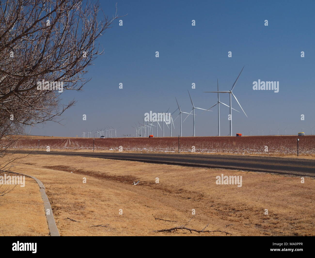 Wind generating farm in east Texas Stock Photo - Alamy