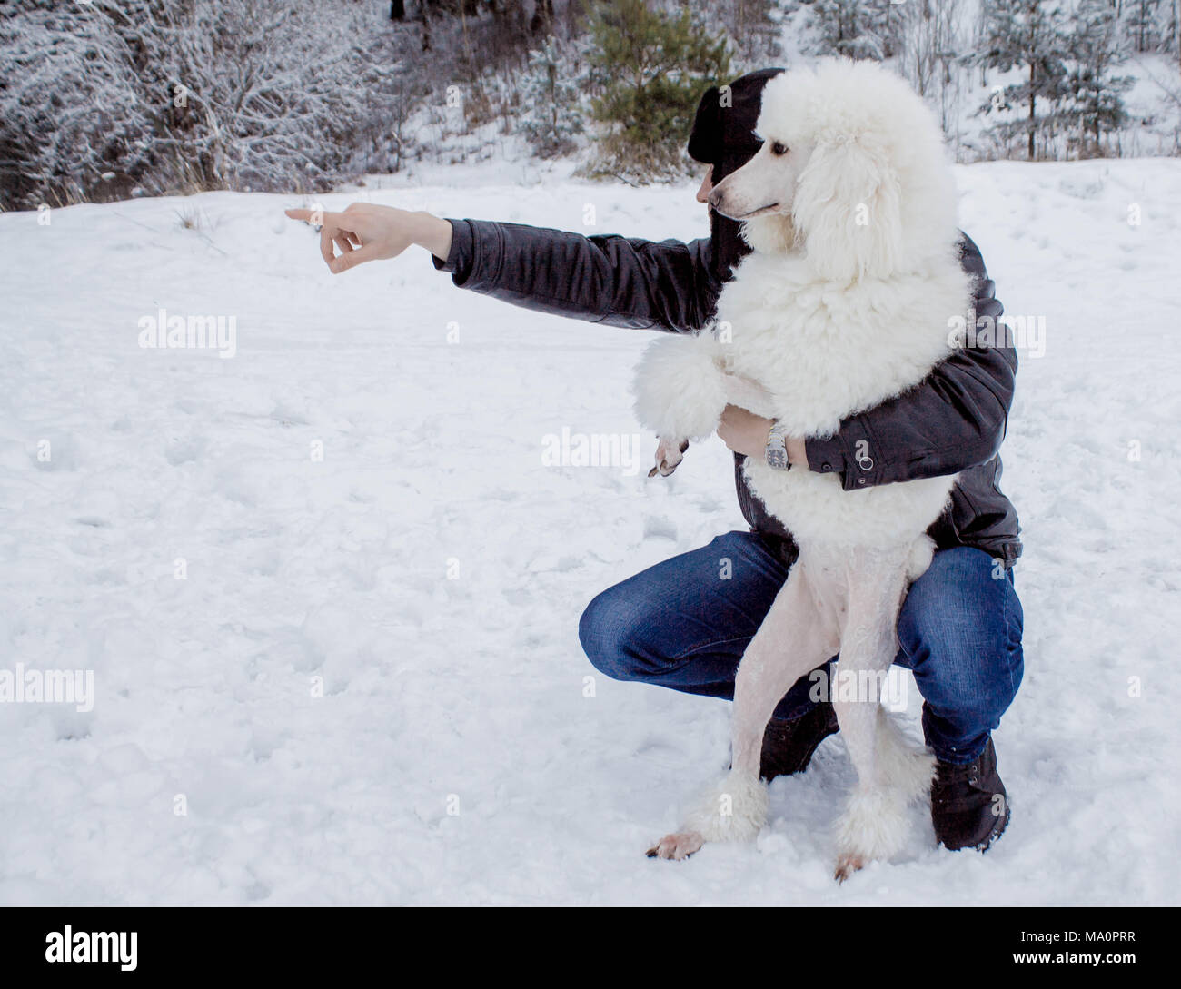 Man and his poodle hi-res stock photography and images - Alamy