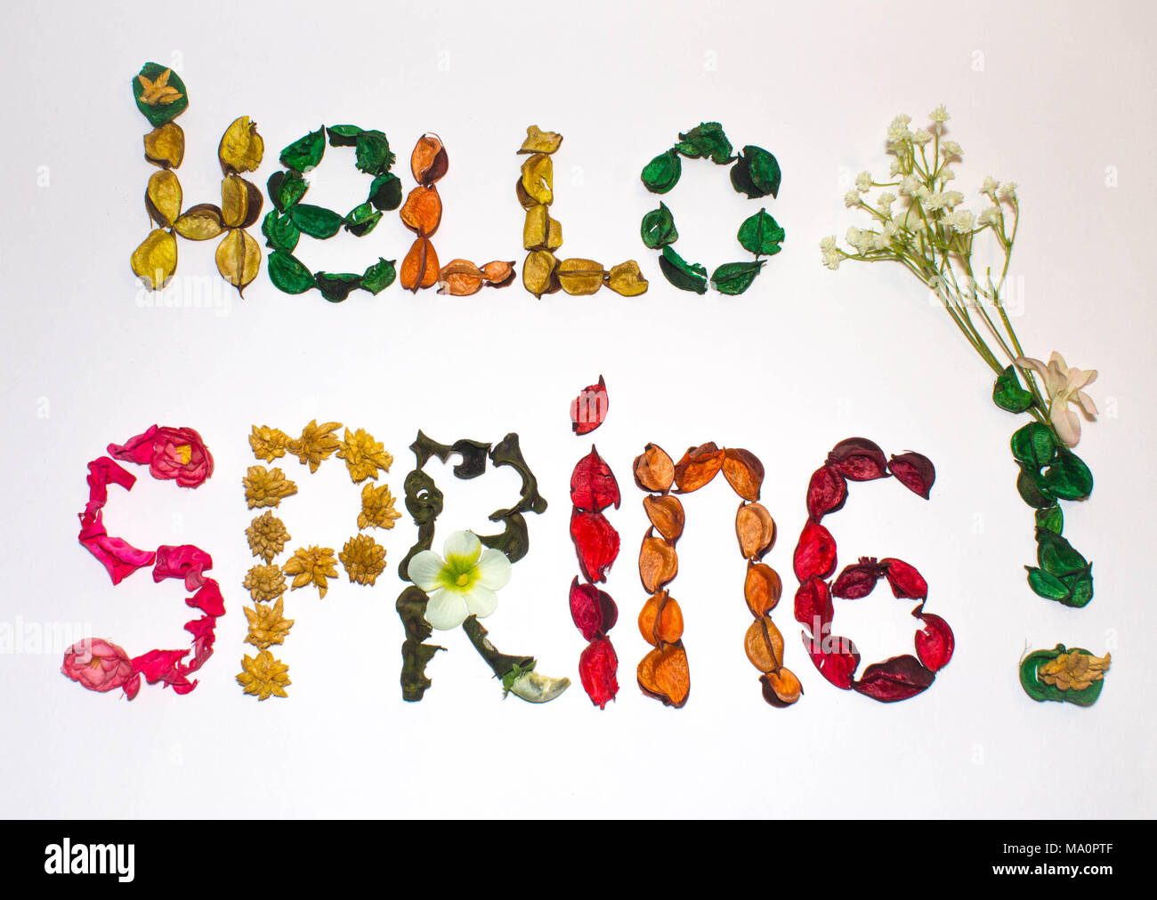the word Hello spring flowers on white background Stock Photo - Alamy