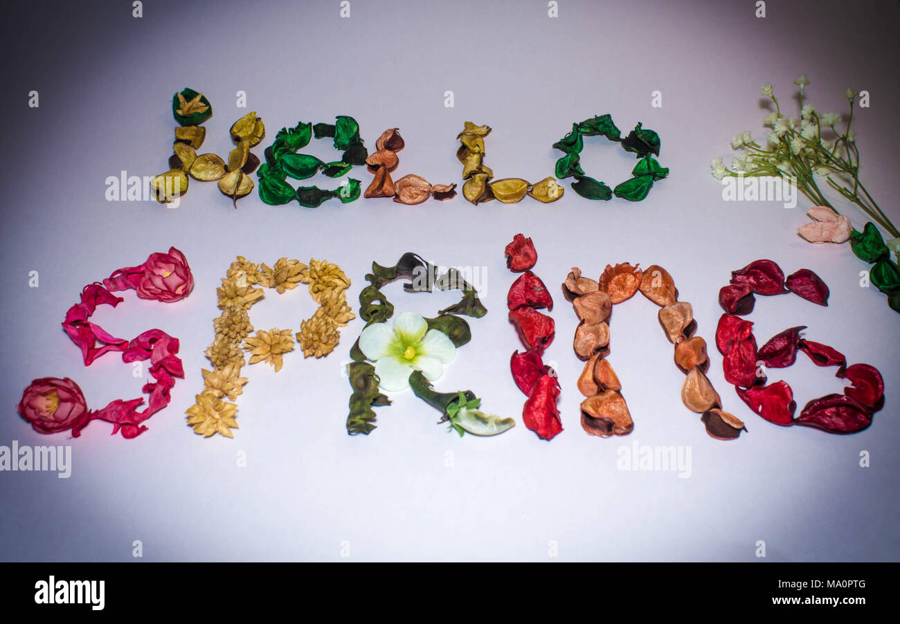 the word Hello spring flowers on white background Stock Photo - Alamy