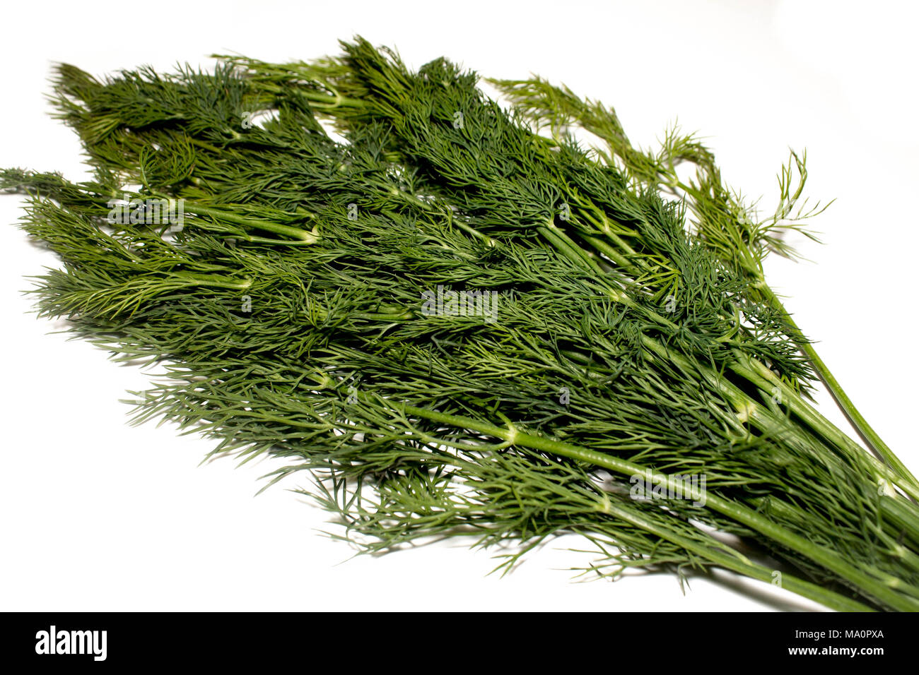 bunch of dill isolated on white background Stock Photo - Alamy