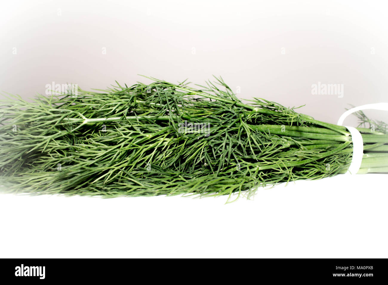 bunch of dill isolated on white background Stock Photo - Alamy