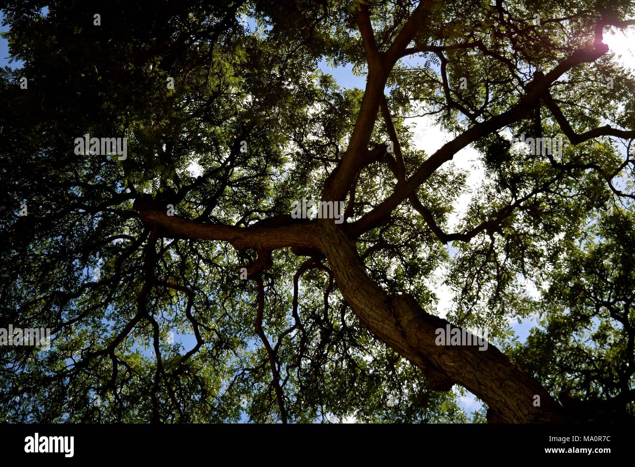 Underneath part hi-res stock photography and images - Alamy