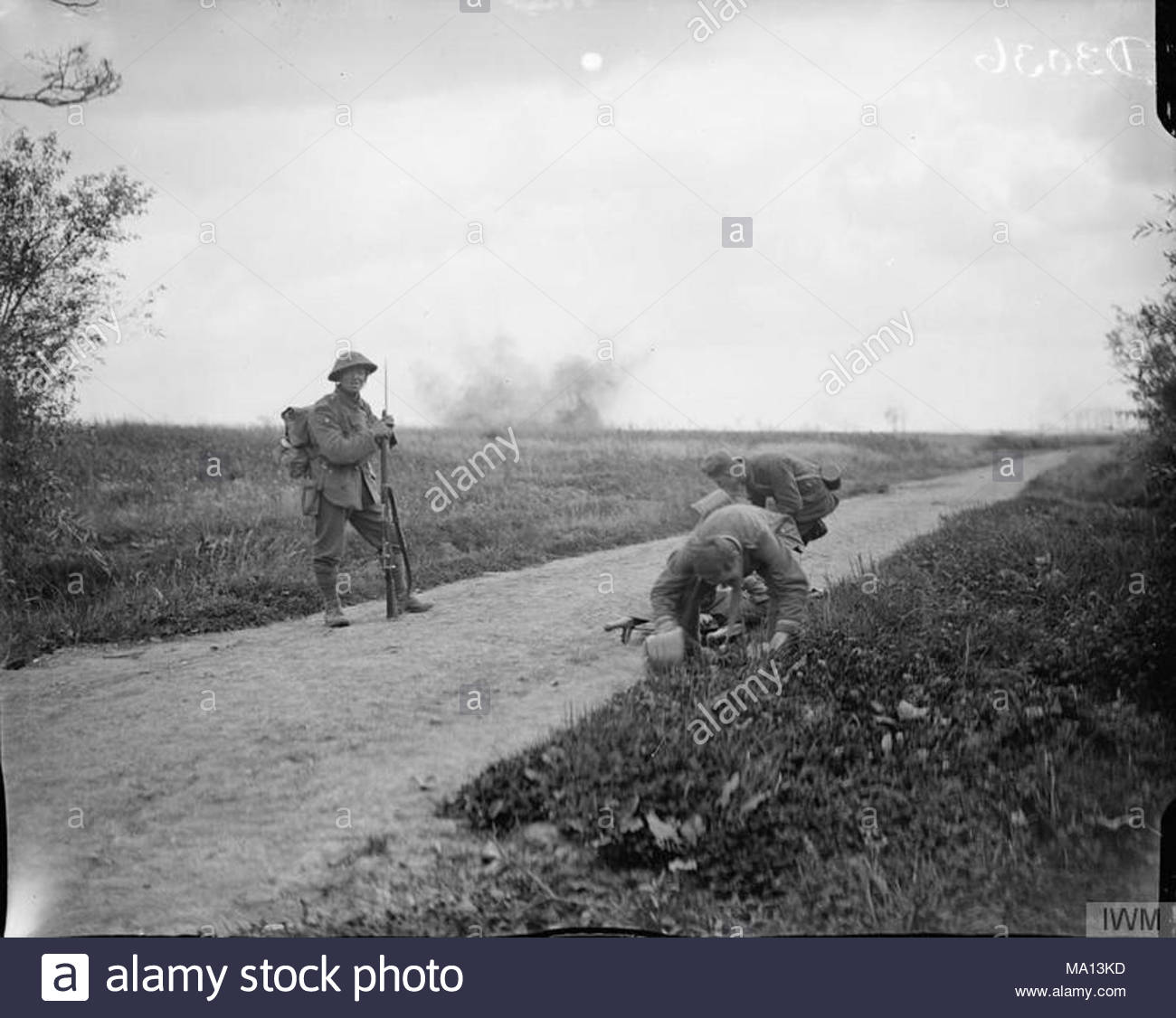Shell Burst Stock Photos & Shell Burst Stock Images - Alamy