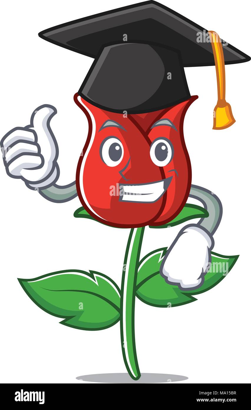 Graduation red rose character cartoon Stock Vector Image & Art - Alamy