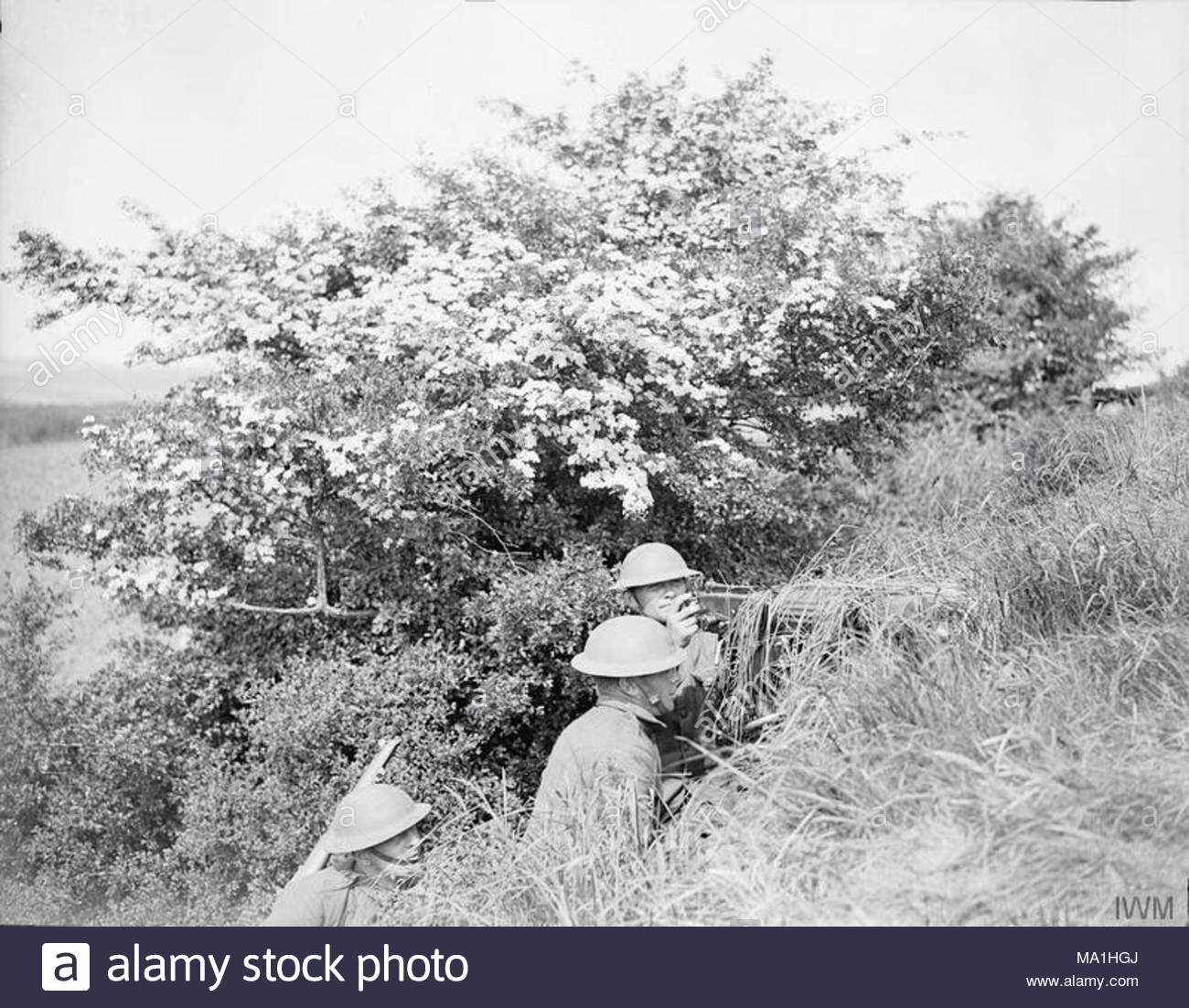 Machine Gun Corps Stock Photos & Machine Gun Corps Stock Images - Alamy