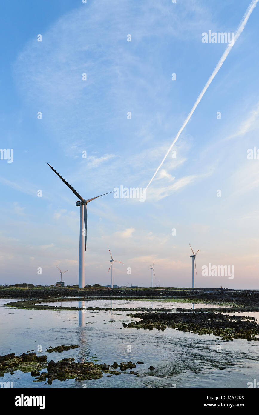 Sinchang Windmill Coast is famous for driving course because of its ...