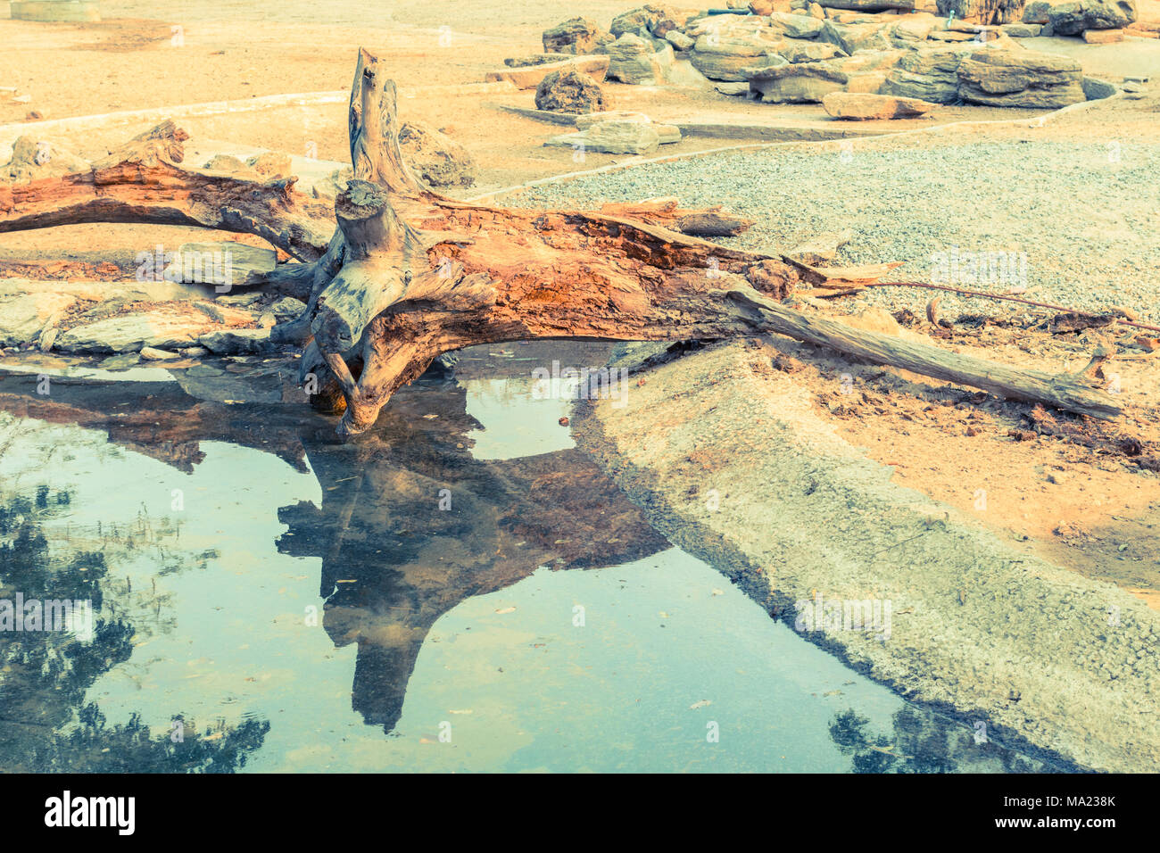 vintage picture of Old timber and reflection in the water Stock Photo ...