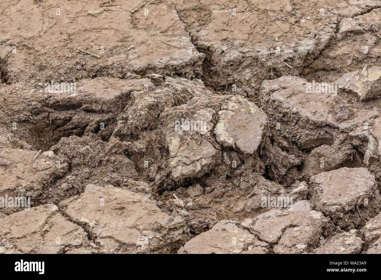 cracked clay ground into the dry season Stock Photo - Alamy