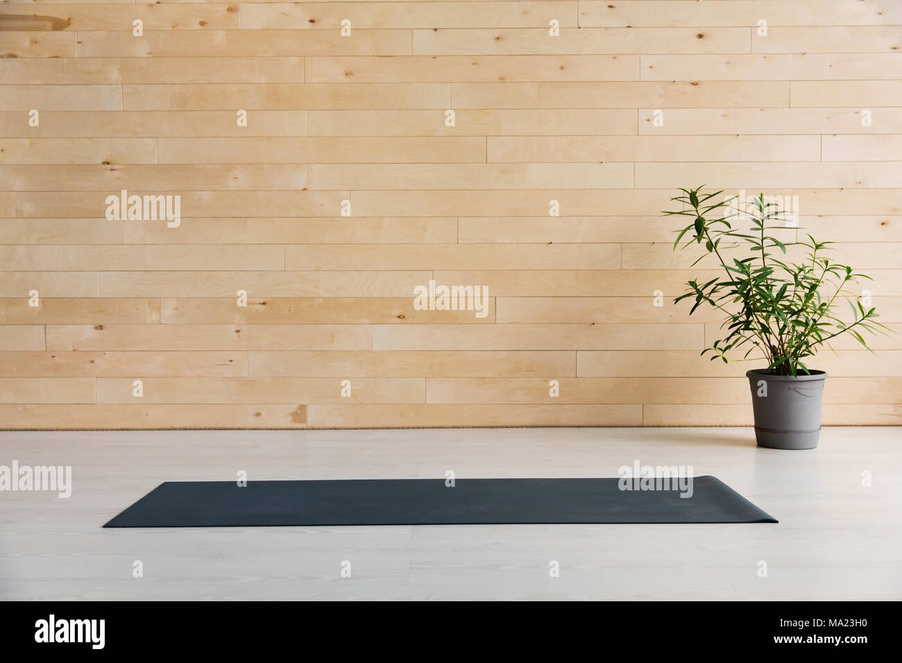 Empty yoga studio interior design hi-res stock photography and images ...