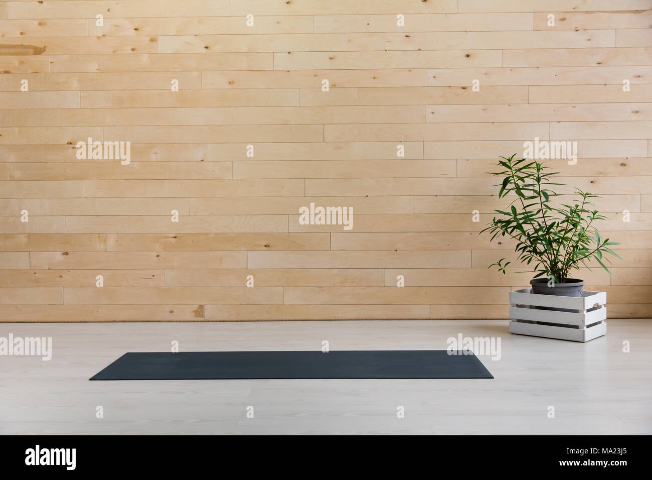 Empty yoga studio interior design hi-res stock photography and images ...