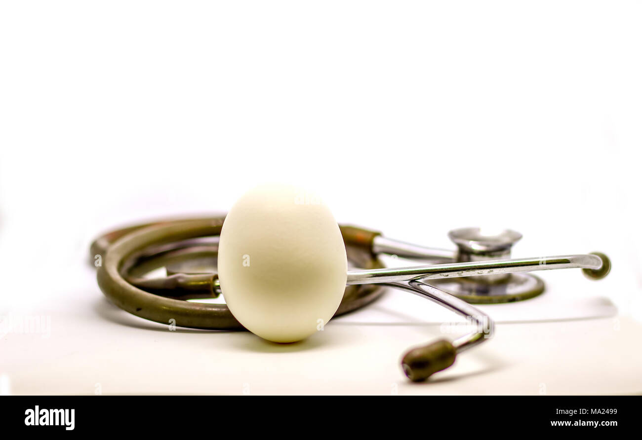 standing single egg and stethoscope isolated in white background as ...