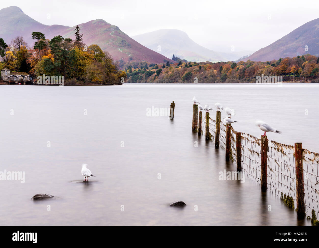 Derwentwater, Cumbria, England Stock Photo - Alamy