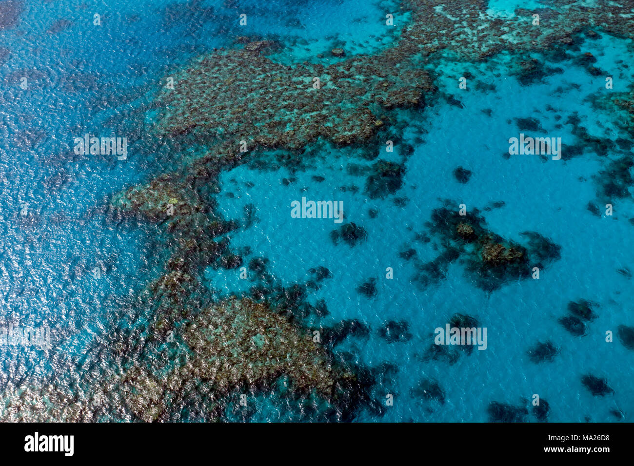 Great barrier reef sea temperatures hi-res stock photography and images ...