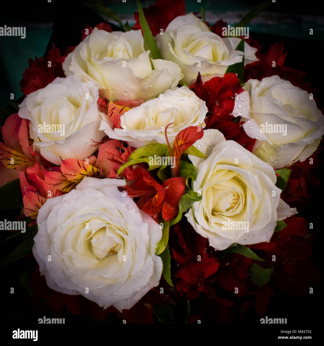 White rose bouquet hi-res stock photography and images - Alamy