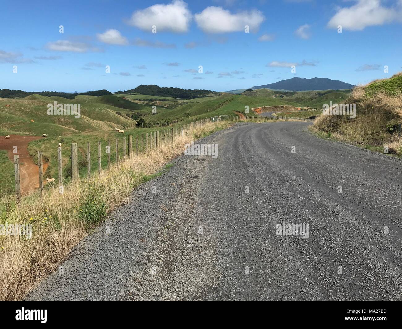 Gravel path through Farmland in New Zealand Stock Photo - Alamy
