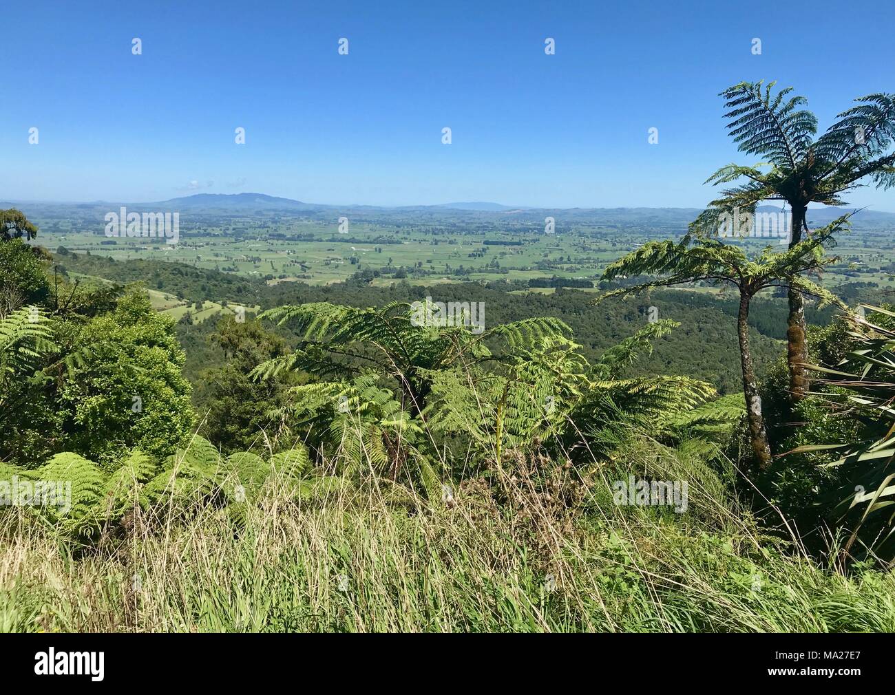 Waikato region rural hi-res stock photography and images - Alamy