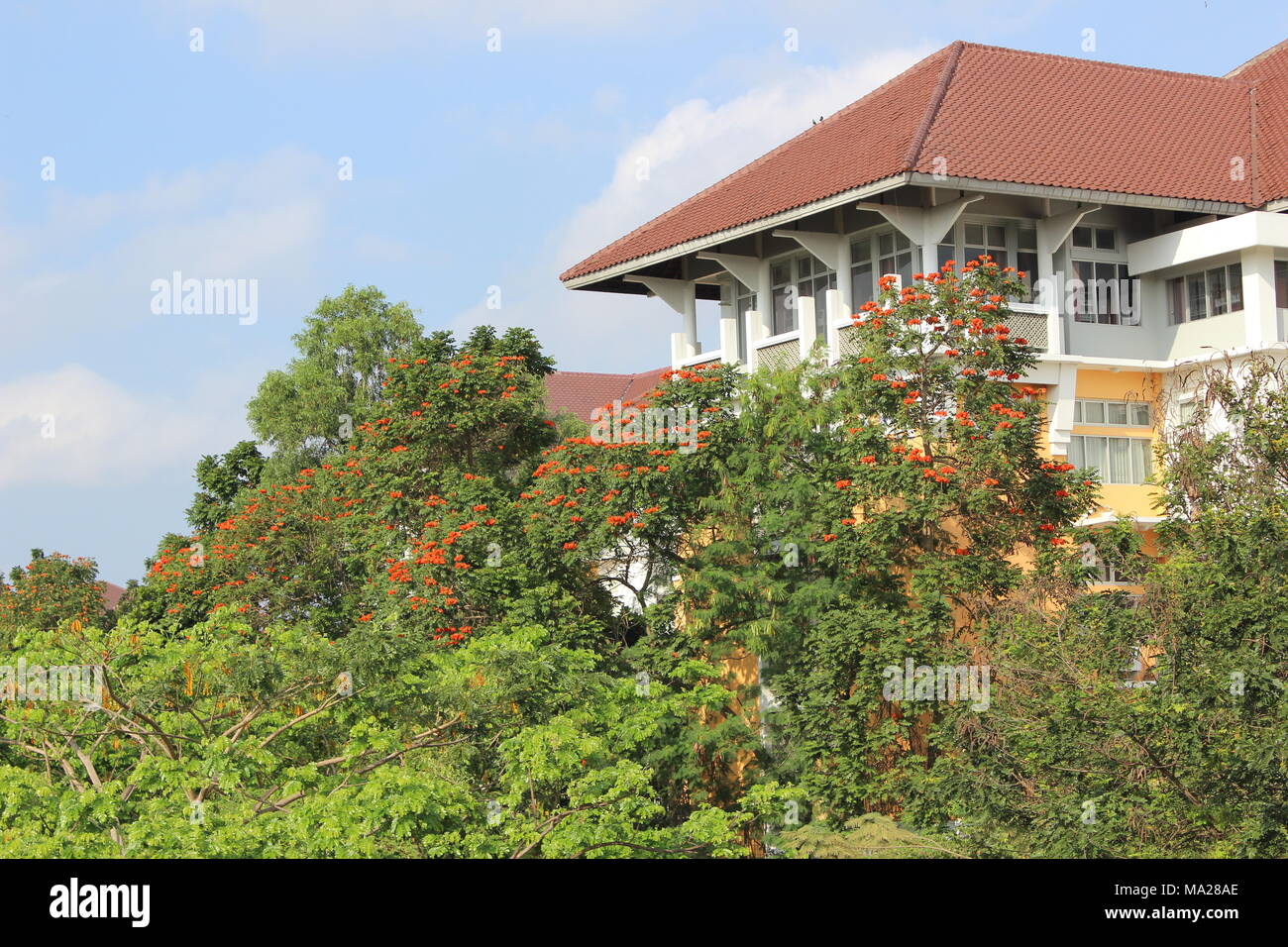 The beautiful city park forest is included in the most beautiful city ...