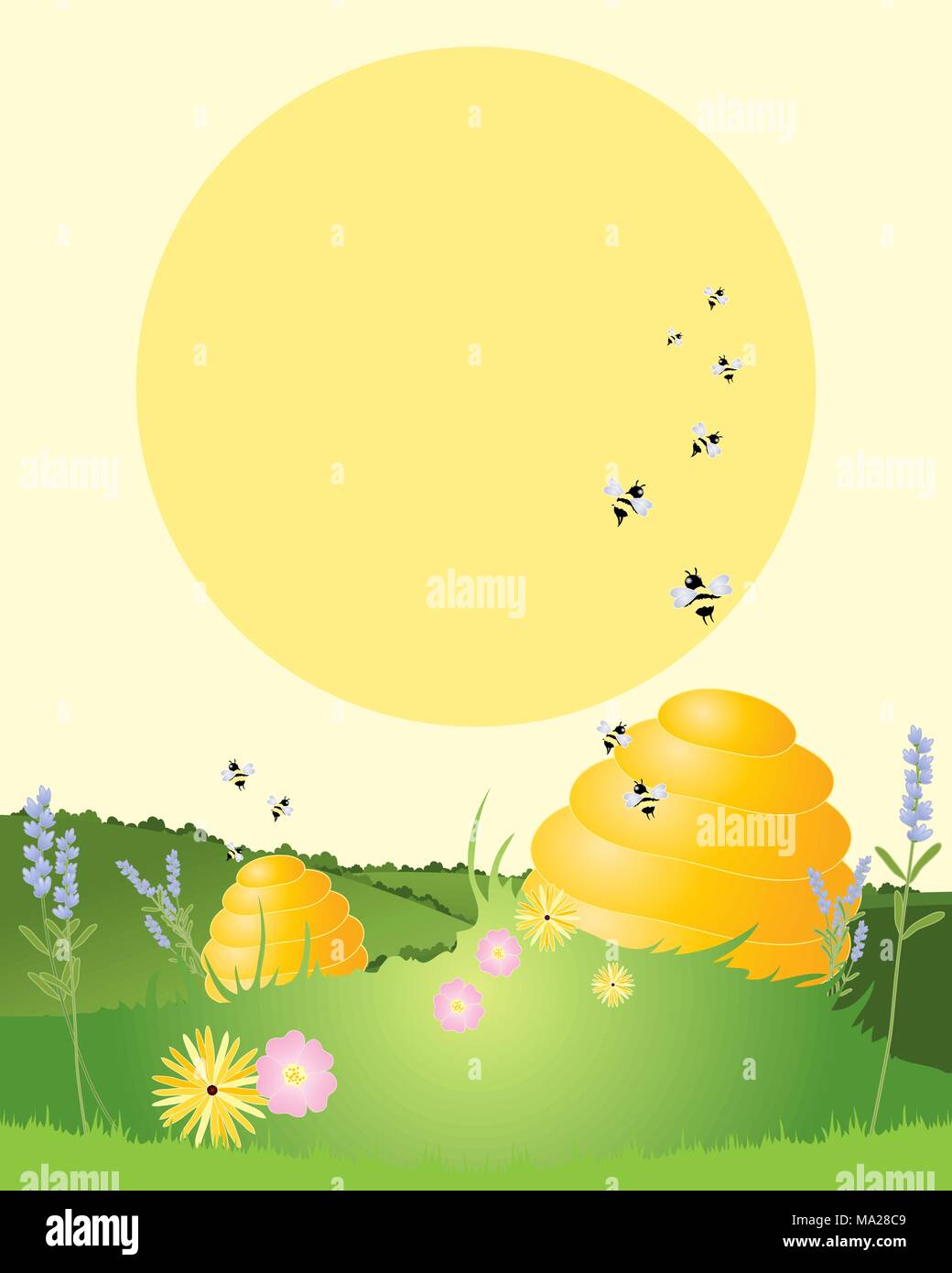 Countryside flying insects Stock Vector Images - Alamy